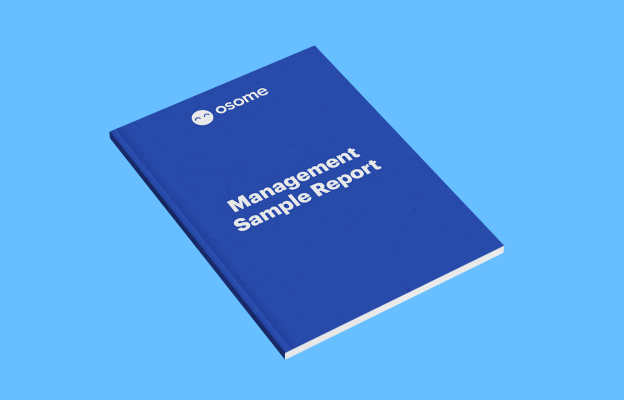 Sample of Unaudited Financial Statements – Osome Guides