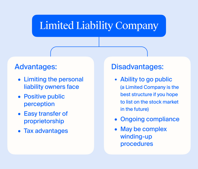 What Is A Limited Liability Company (LLC) in Hong Kong