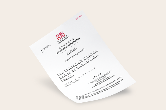 What Is A Limited Liability Company (LLC) in Hong Kong